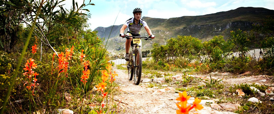 Hermanus Adventures | The Origin of great action adventure