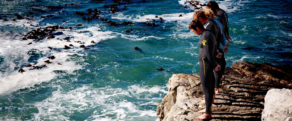 Hermanus Adventures | The Origin of great action adventure