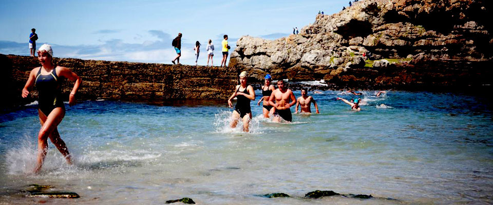 Hermanus Adventures | The Origin of great action adventure