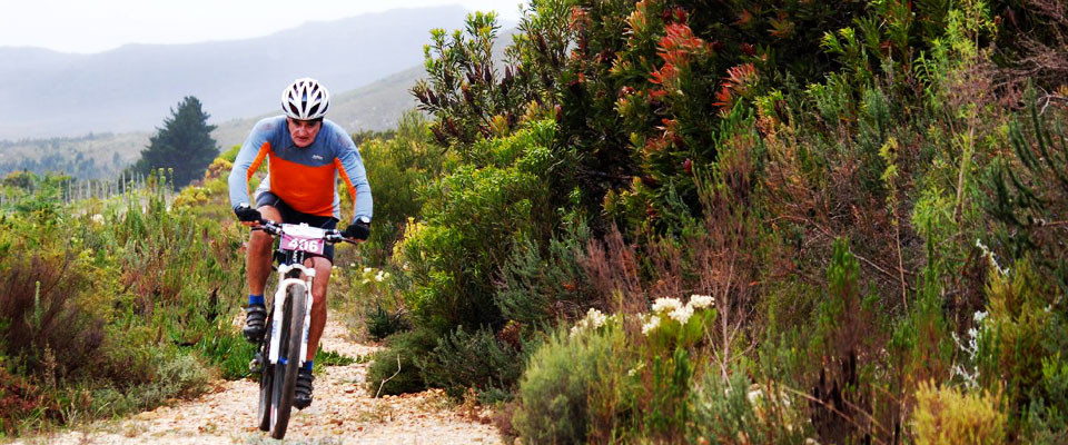 Hermanus Adventures | The Origin of great action adventure